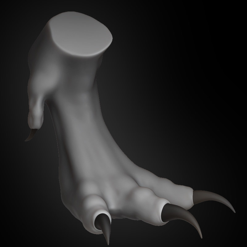 Dragon claw concept 2019 3D model - TurboSquid 1442367