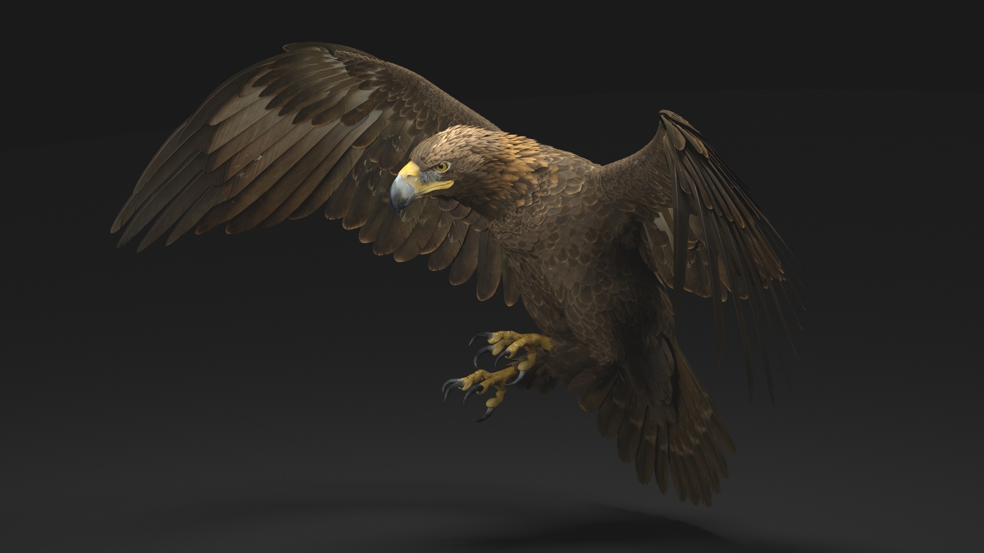 Golden Eagle Rigged Model 3D - TurboSquid 1442413