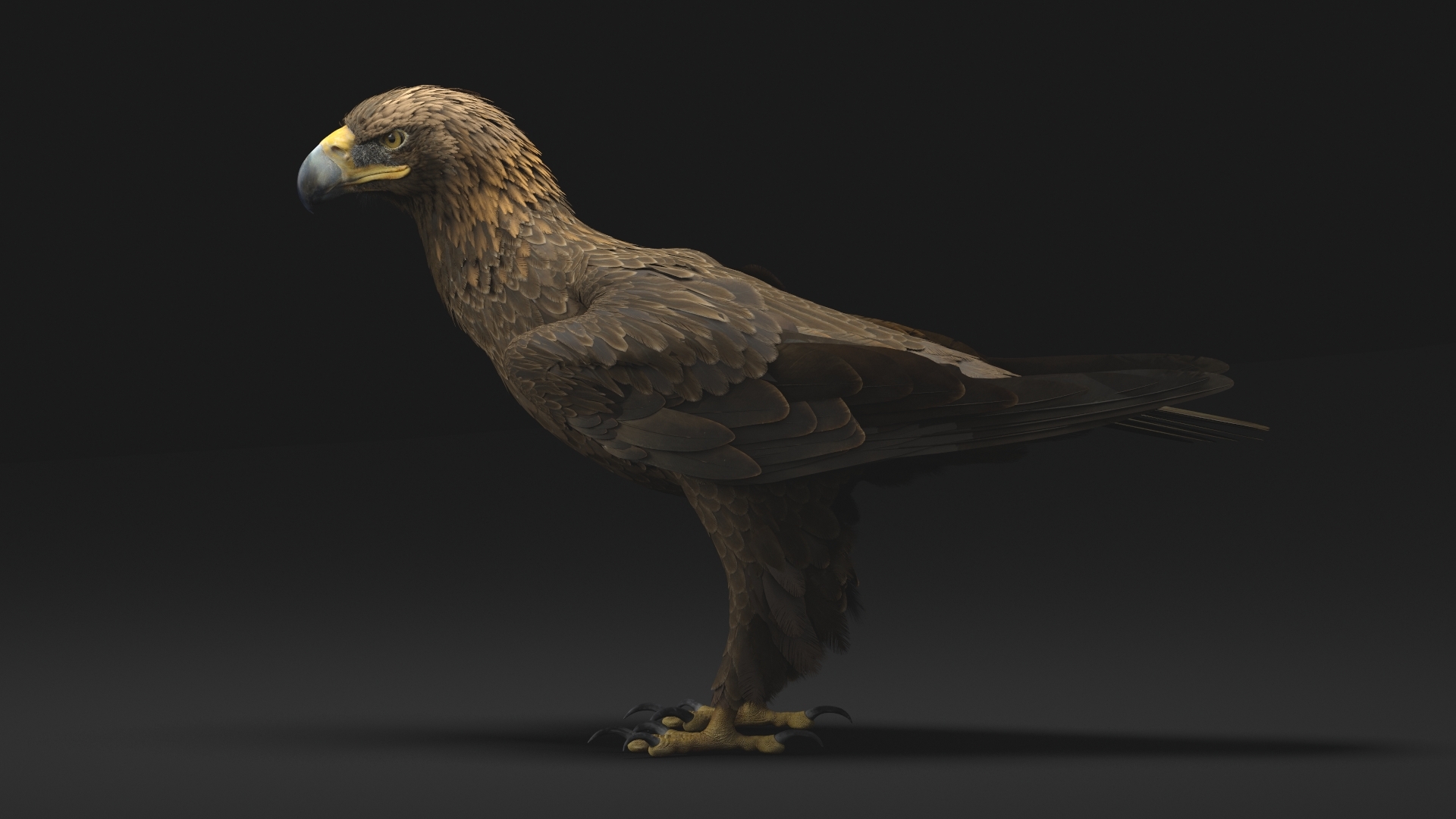 Golden Eagle Rigged Model 3D - TurboSquid 1442413