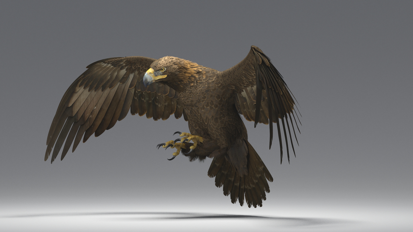Golden eagle animations 3D model - TurboSquid 1442542