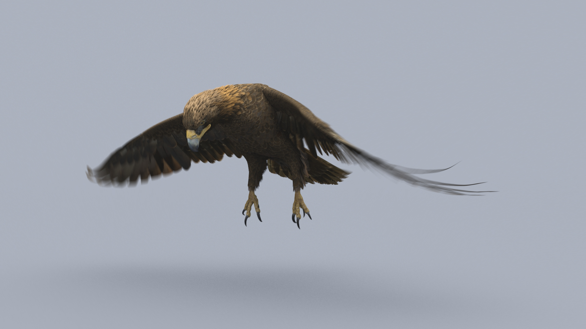 Golden eagle animations 3D model - TurboSquid 1442542