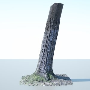 Tree Trunk STL Models for Download | TurboSquid