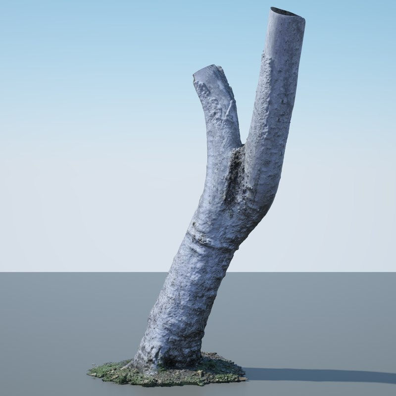 3D tree trunk - model - TurboSquid 1442630
