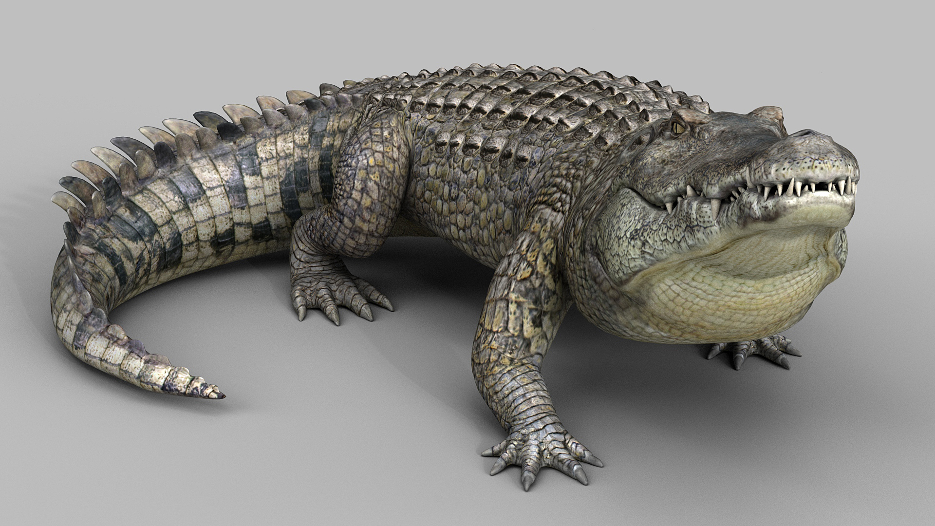 3D model realistic crocodile animating - TurboSquid 1441718