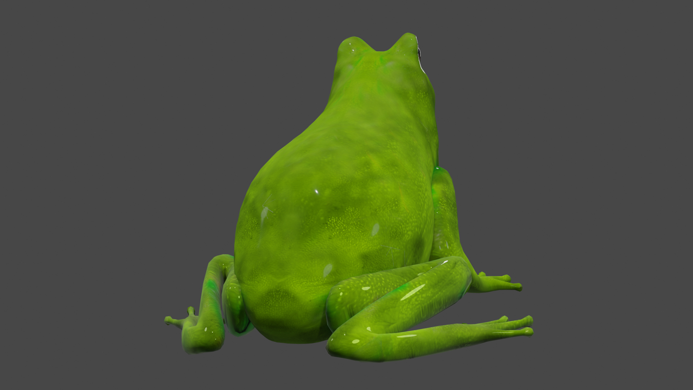 3D frog animations model - TurboSquid 1442983