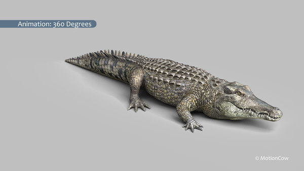 3D model realistic crocodile animating - TurboSquid 1441718