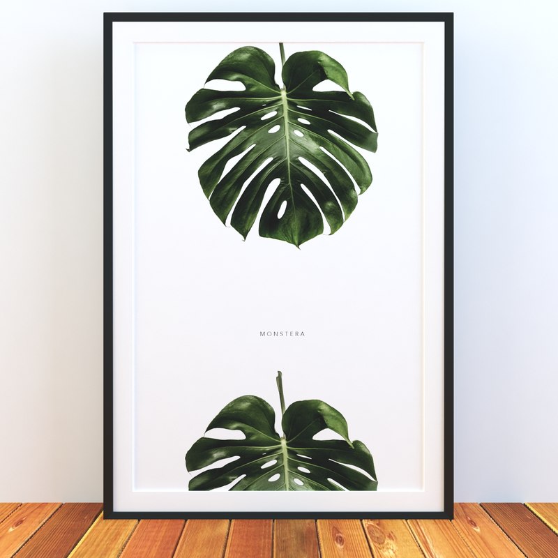 Free monstera frame 3D model - TurboSquid 1443153
