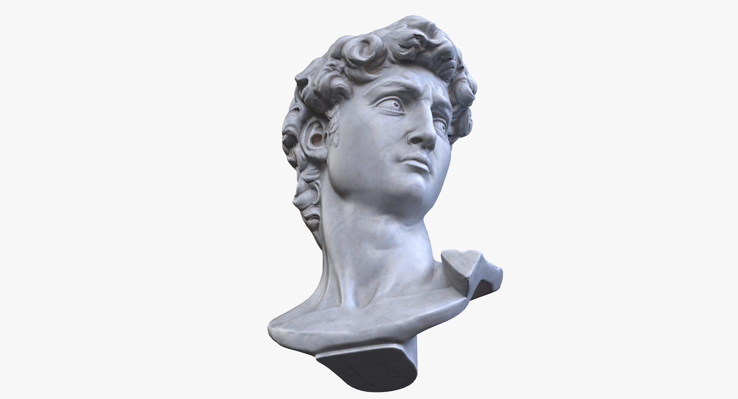 David head 3D model - TurboSquid 1443256