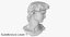 David head 3D model - TurboSquid 1443256