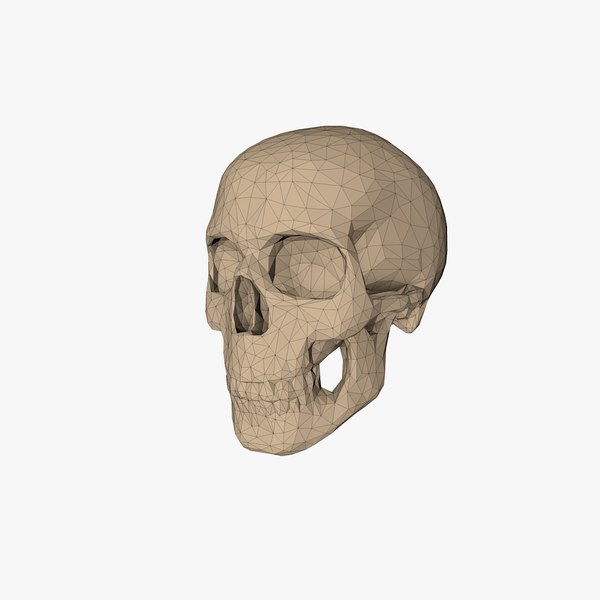 3D human skull model - TurboSquid 1443883
