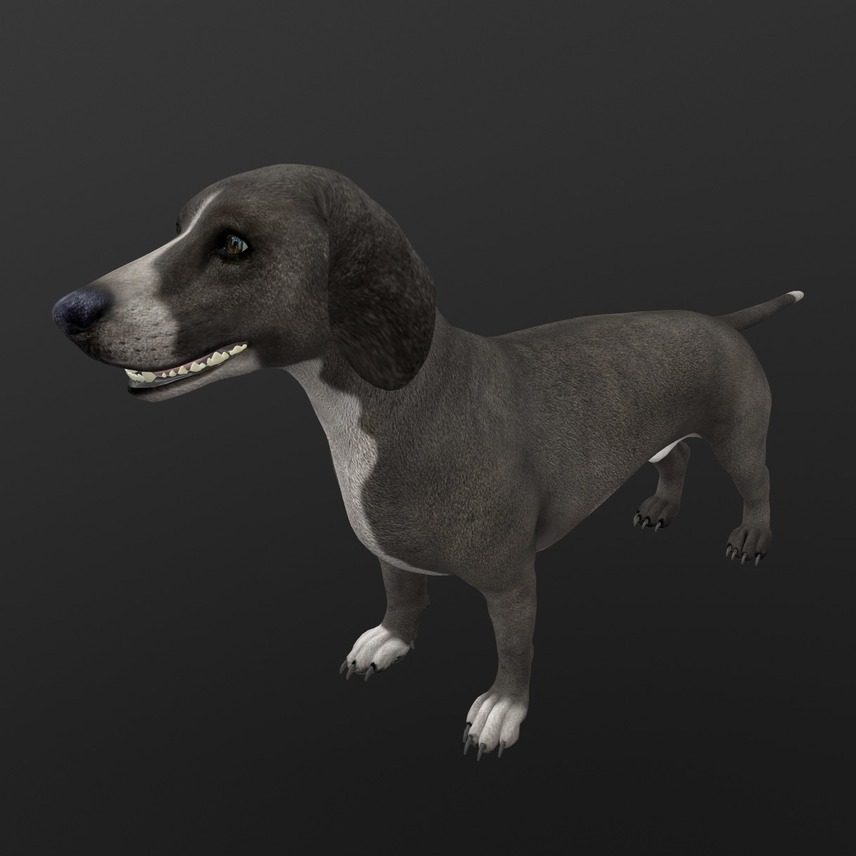 3D dog rigged model - TurboSquid 1444023