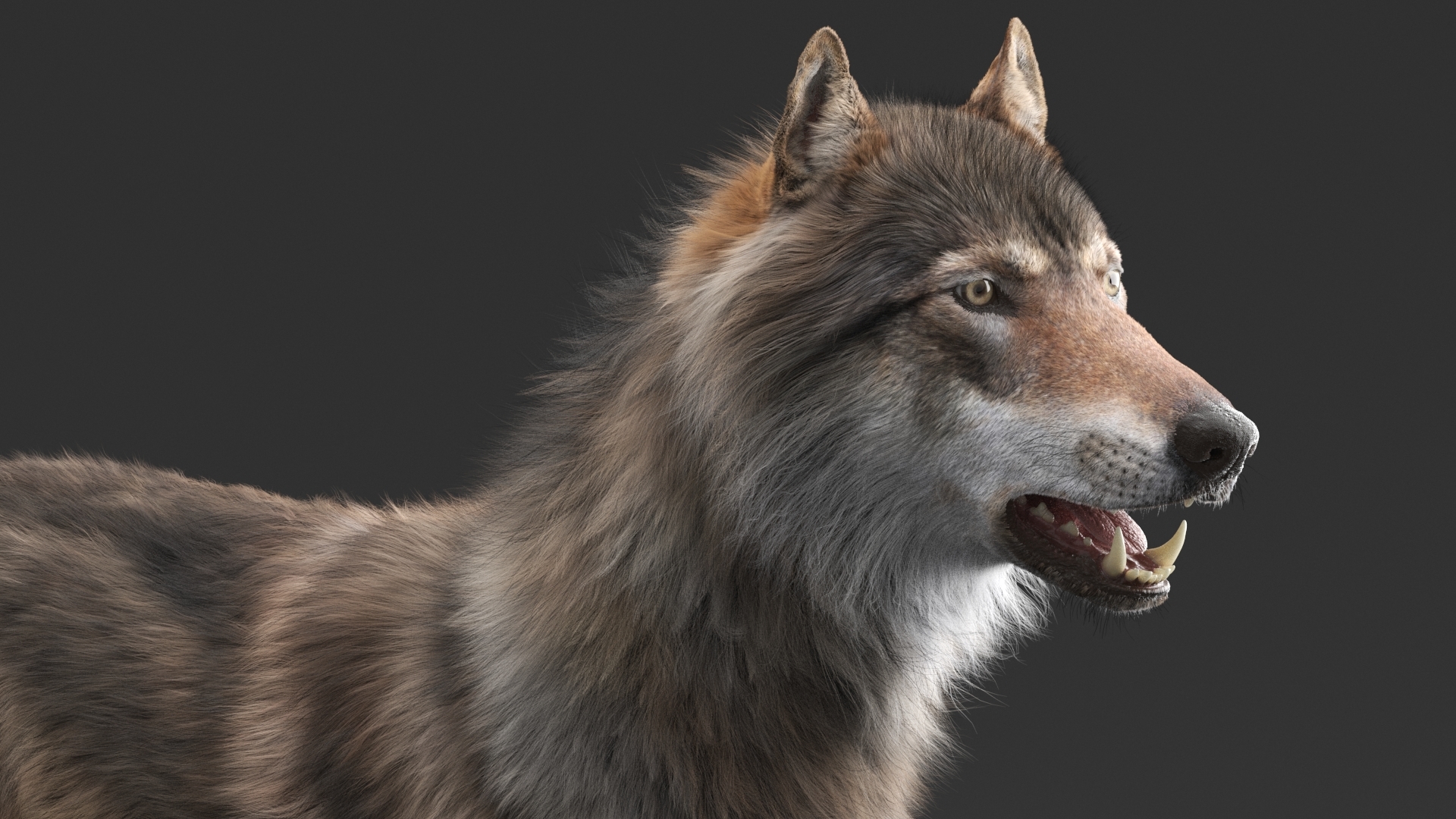 modelo 3d Lobo - TurboSquid 1444288
