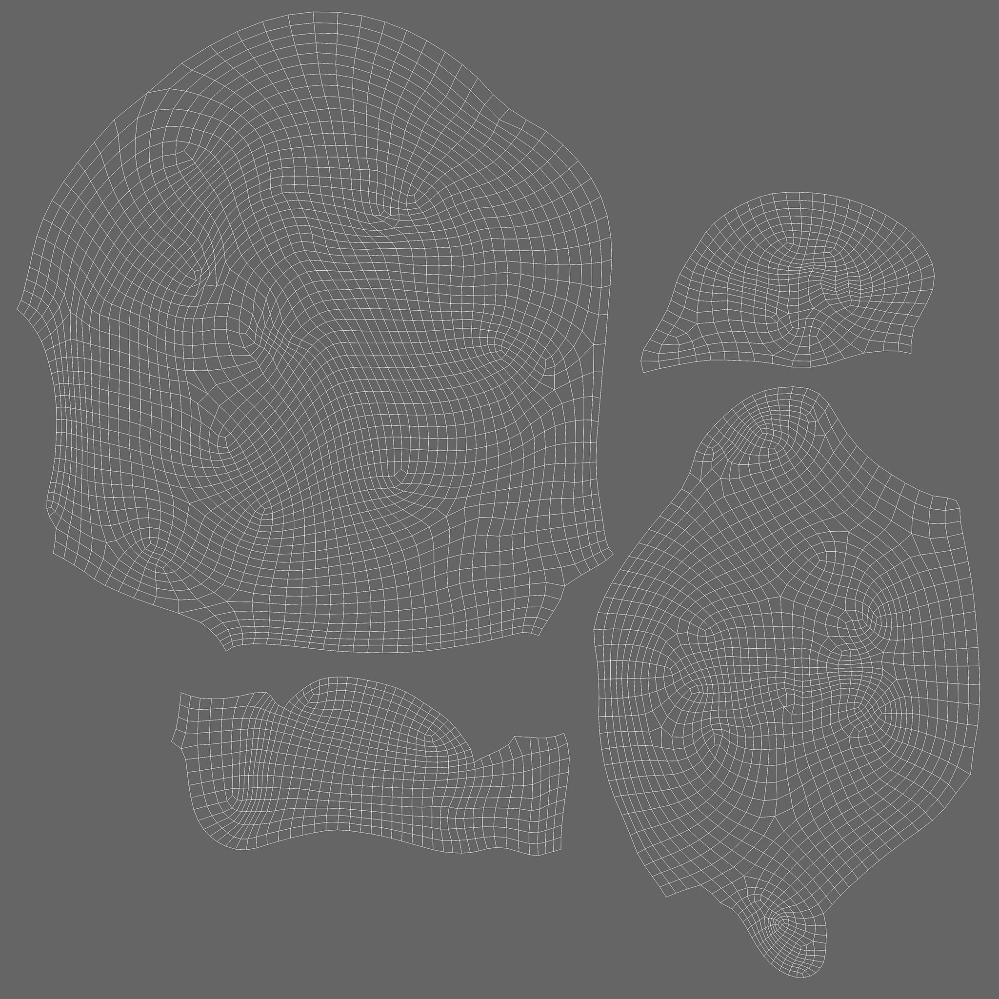 Head Nerva 3d Model Turbosquid 1444527