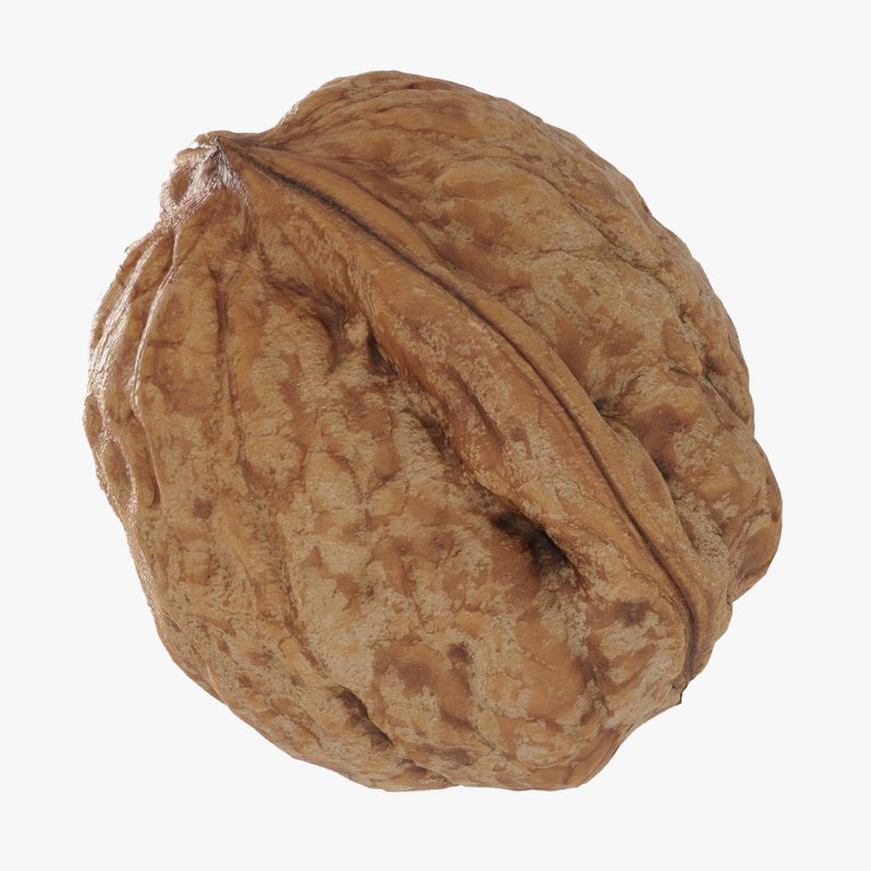 Walnut nut 3D model - TurboSquid 1444625