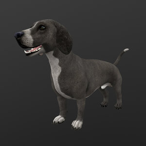 Animated Dog 3D Models for Download | TurboSquid