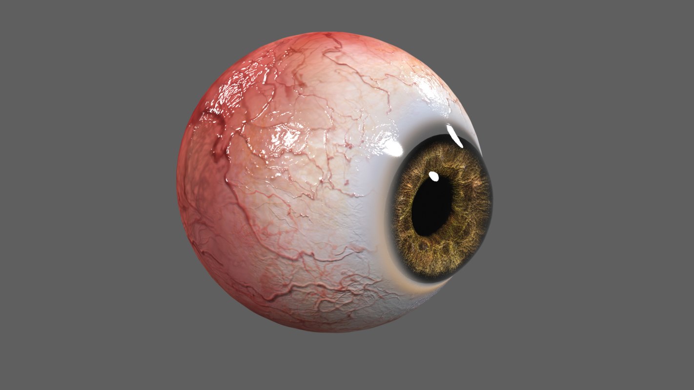 3D model realistic eyeball eye iris - TurboSquid 1445245
