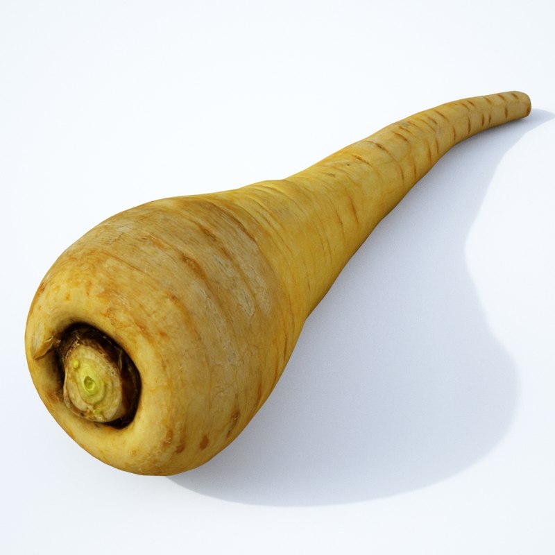 Parsnip Root Vegetable 3d Model Turbosquid 1445445
