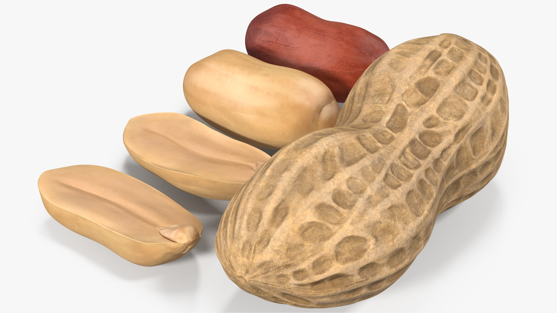 3D peanuts set model - TurboSquid 1445547