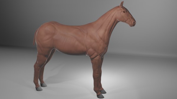 Horse Blender Models for Download | TurboSquid