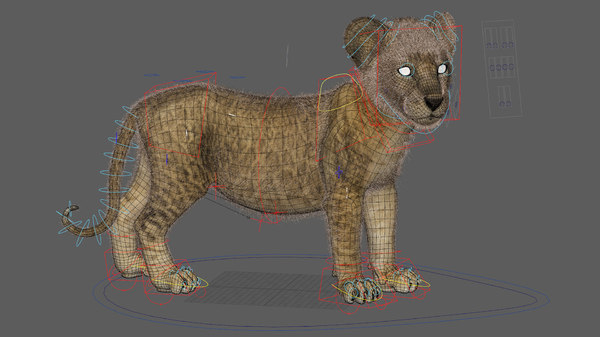 3D realistic rigged lion cub - TurboSquid 1445552