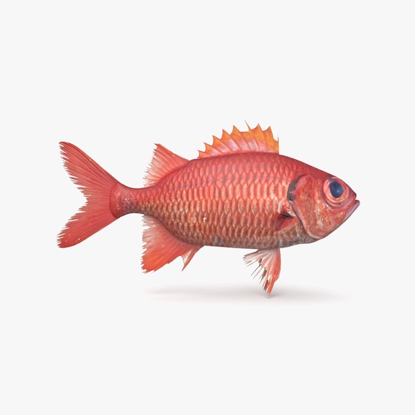 3d model luxilus cardinalis cardinal shiner