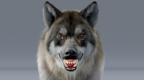 Lobos 3D Modelos para Descargar | TurboSquid