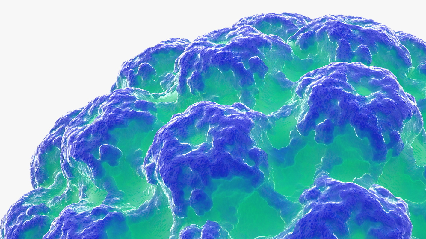 3D microscopic anatomy 2 model - TurboSquid 1445894