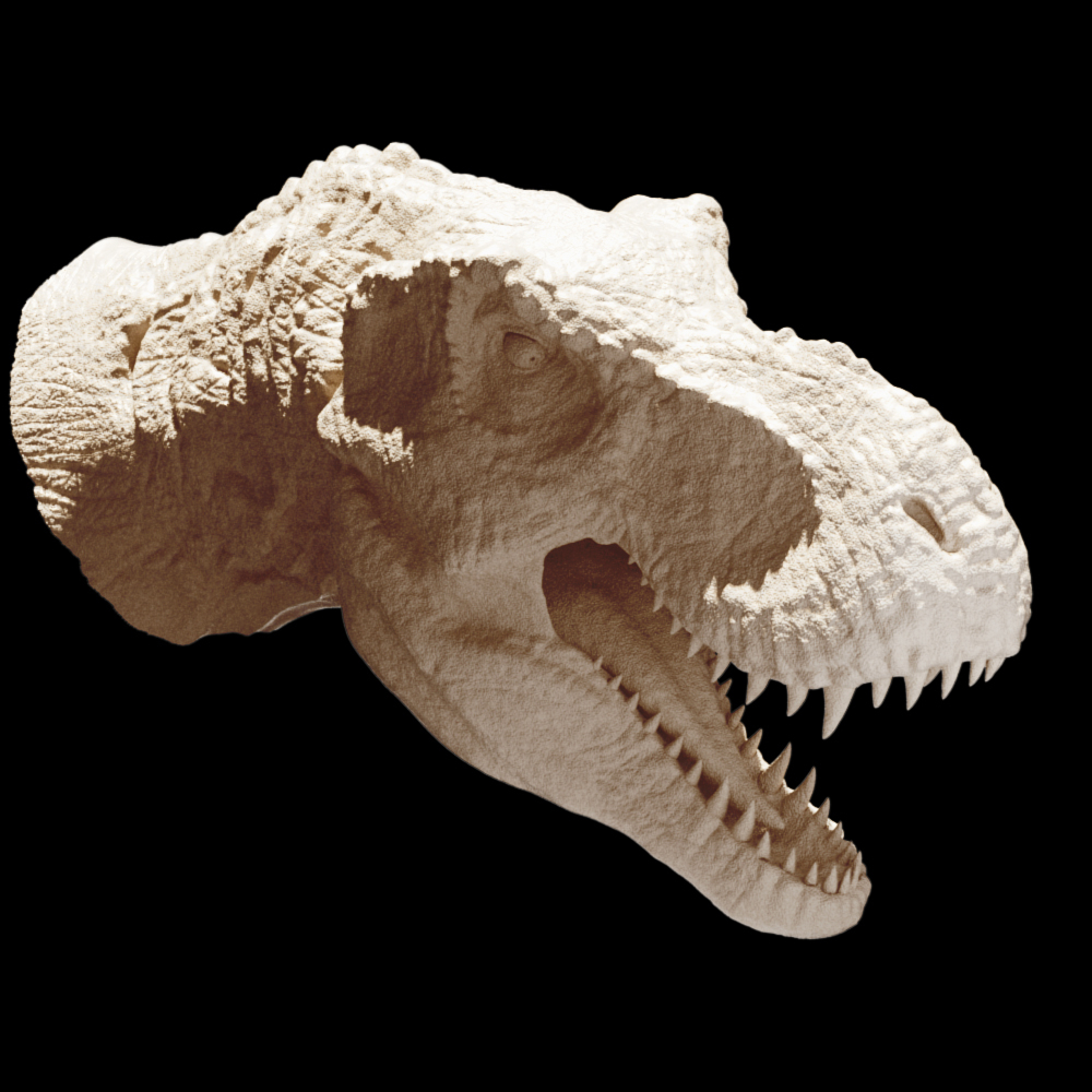 T rex head print 3D model - TurboSquid 1444457