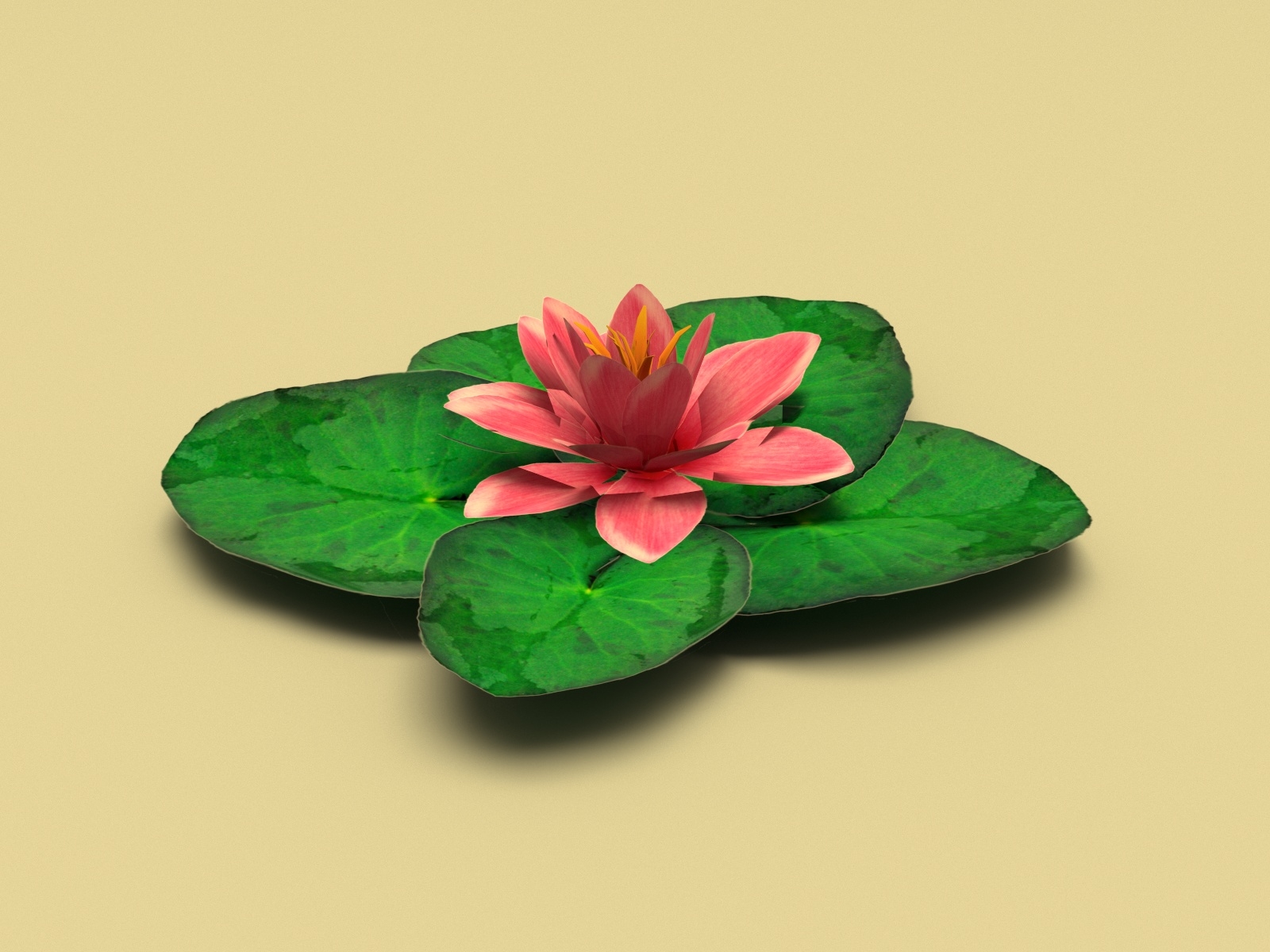 modèle 3D de Nénuphar - TurboSquid 1446099