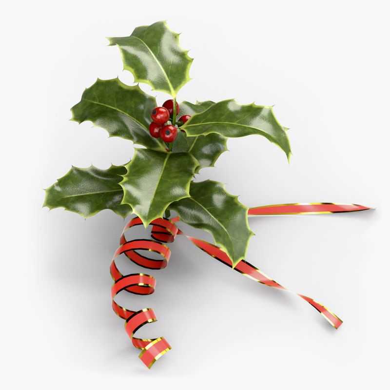 3D christmas holly model - TurboSquid 1444210