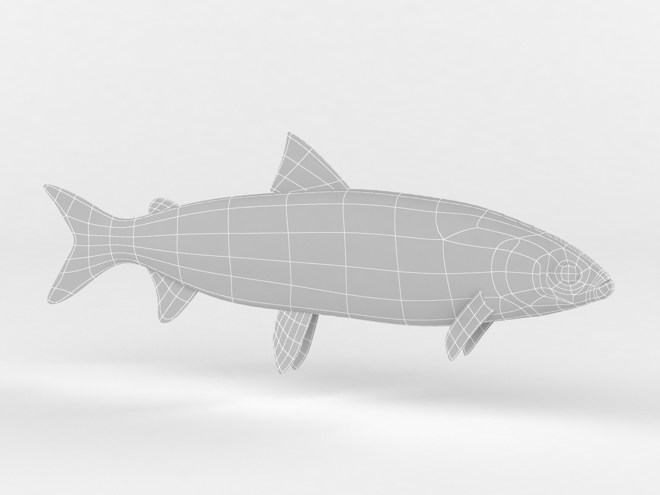 3D fish whitefish model - TurboSquid 1446189