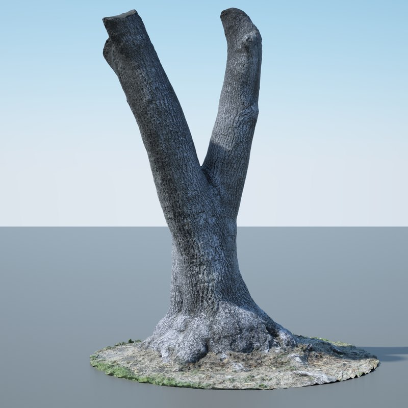 3D tree trunk - model - TurboSquid 1446822