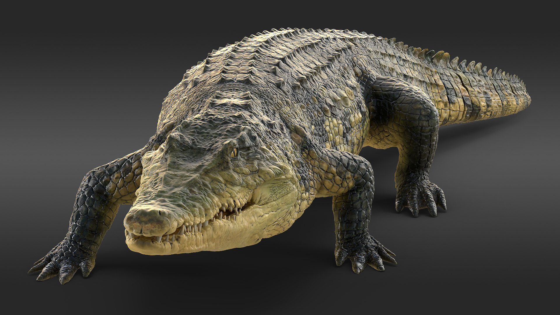 Crocodile walking animal rigged 3D model - TurboSquid 1447341