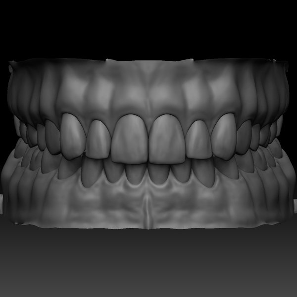 rigged teeth 3d model