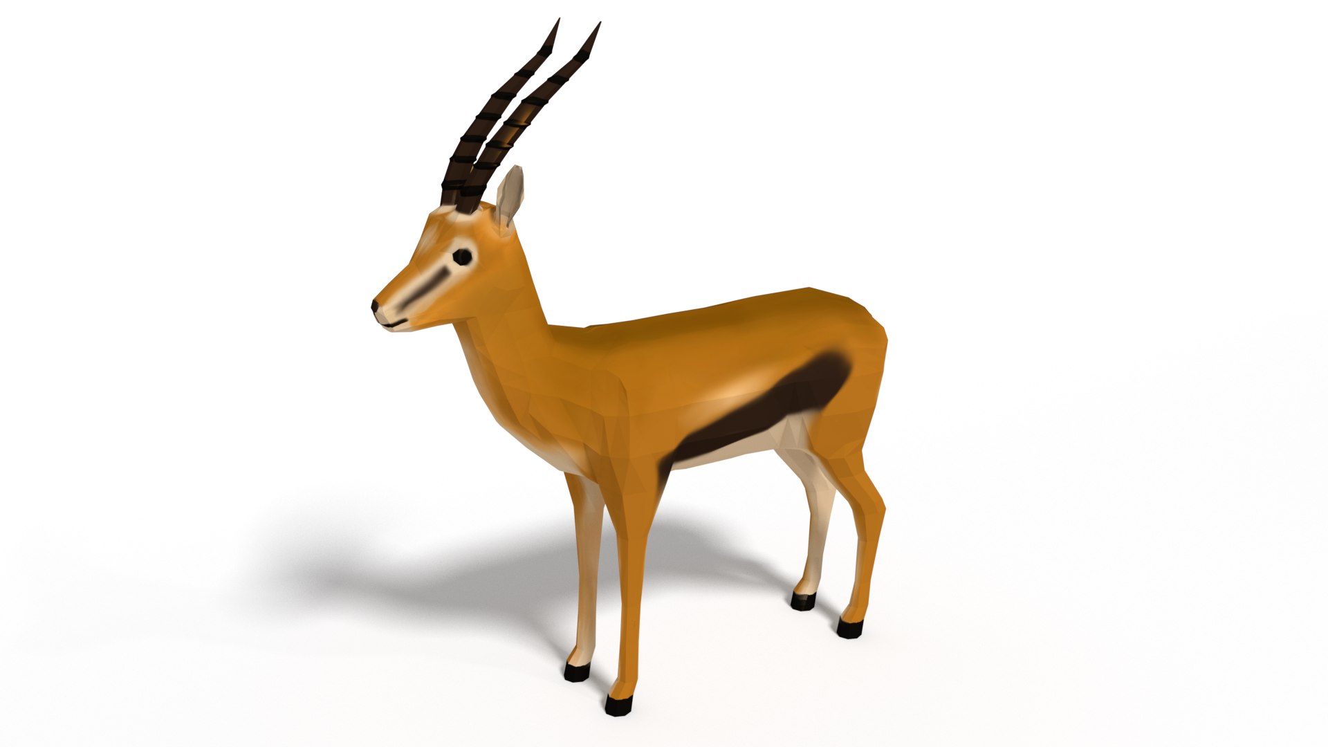 Thompson gazelle nature 3D model - TurboSquid 1447580