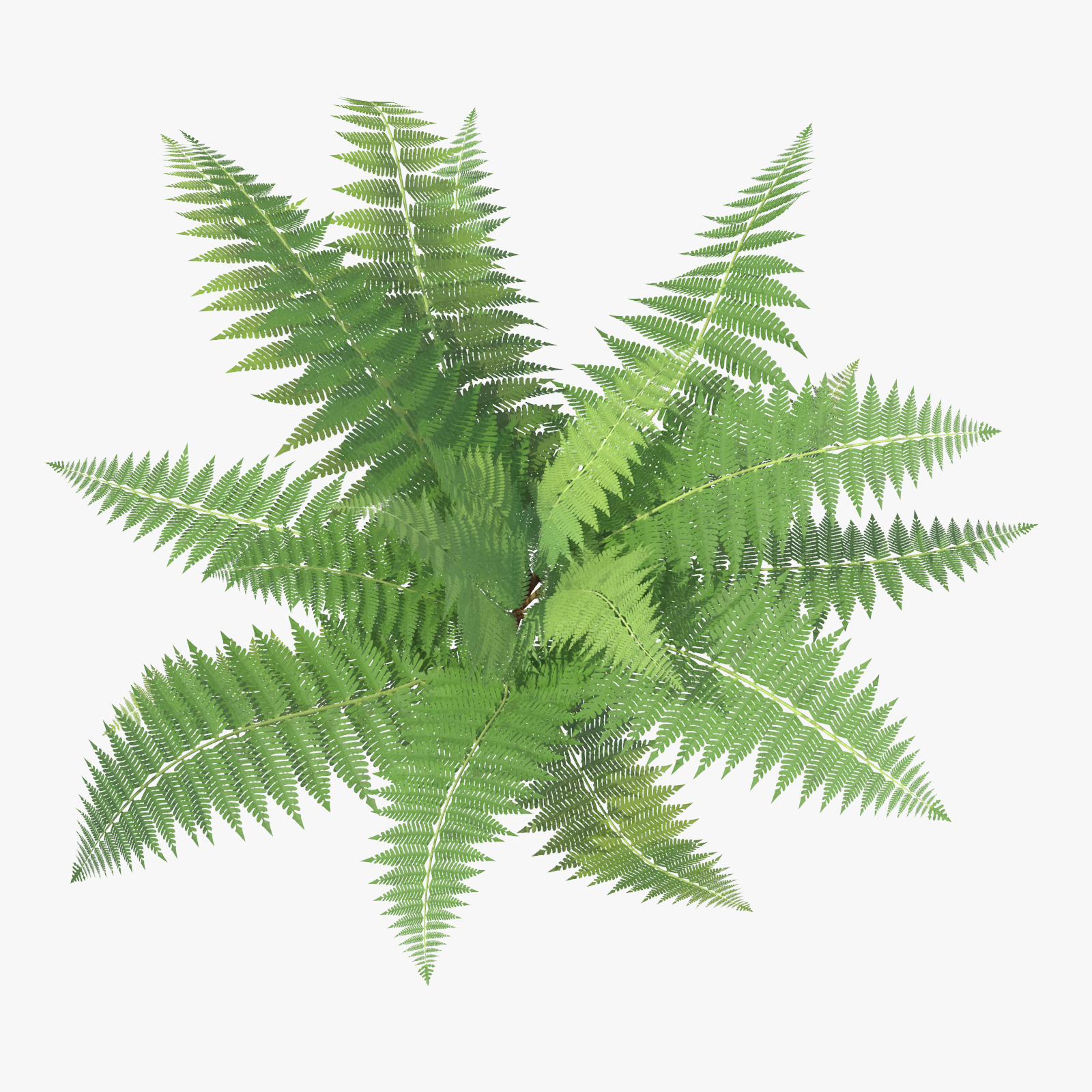 3D greenery set - TurboSquid 1449438