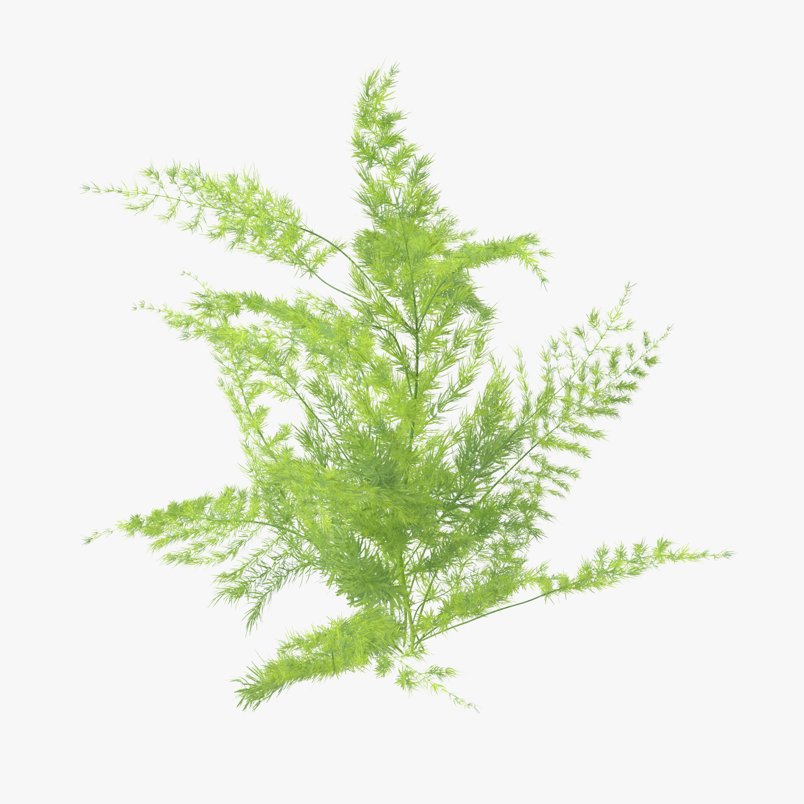3D greenery set - TurboSquid 1449438