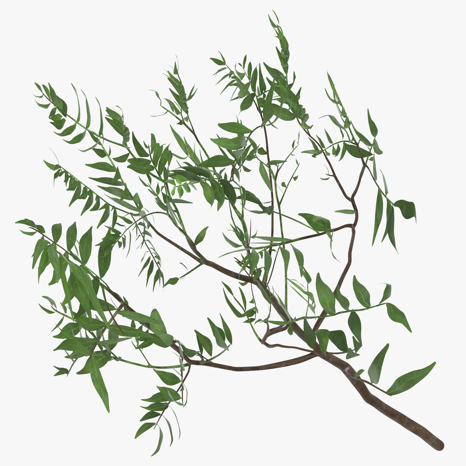 3D greenery set - TurboSquid 1449438