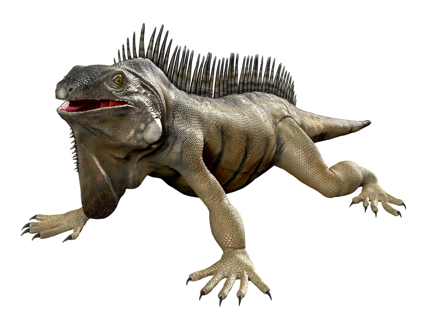 3D film ready iguana animation - TurboSquid 1449894