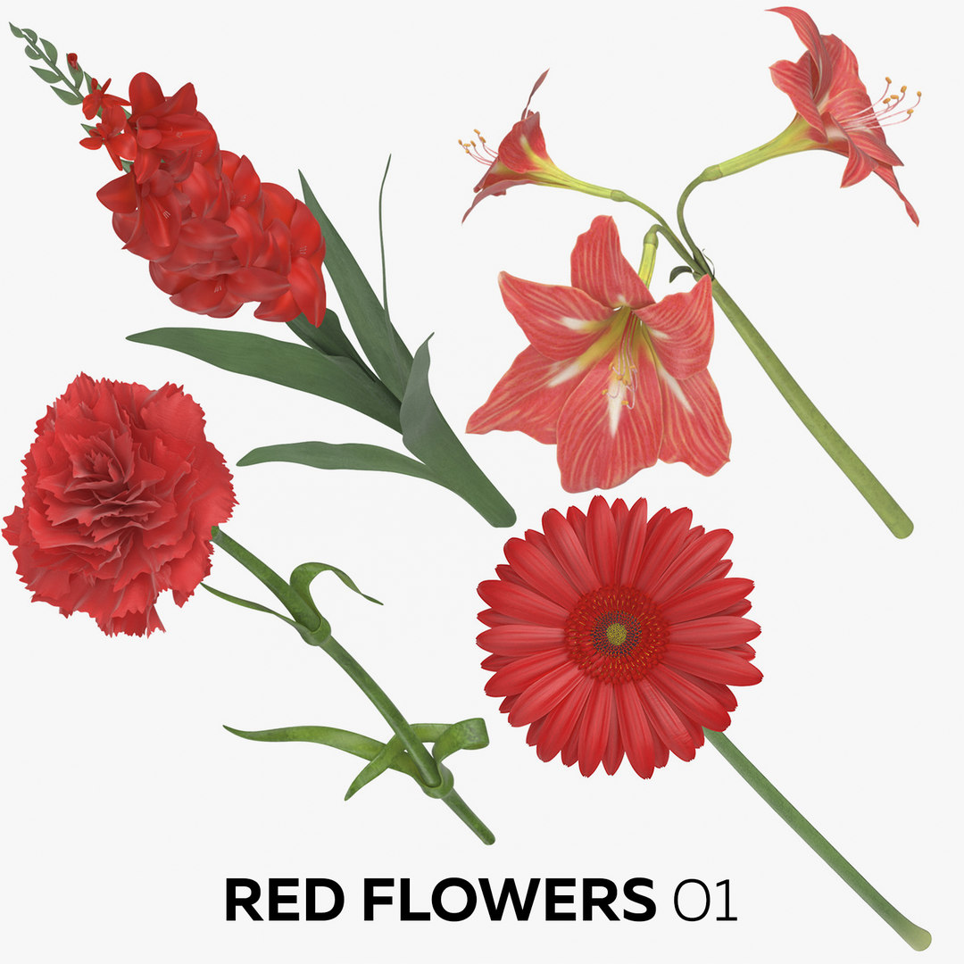 3D model red flowers 01 - TurboSquid 1449941
