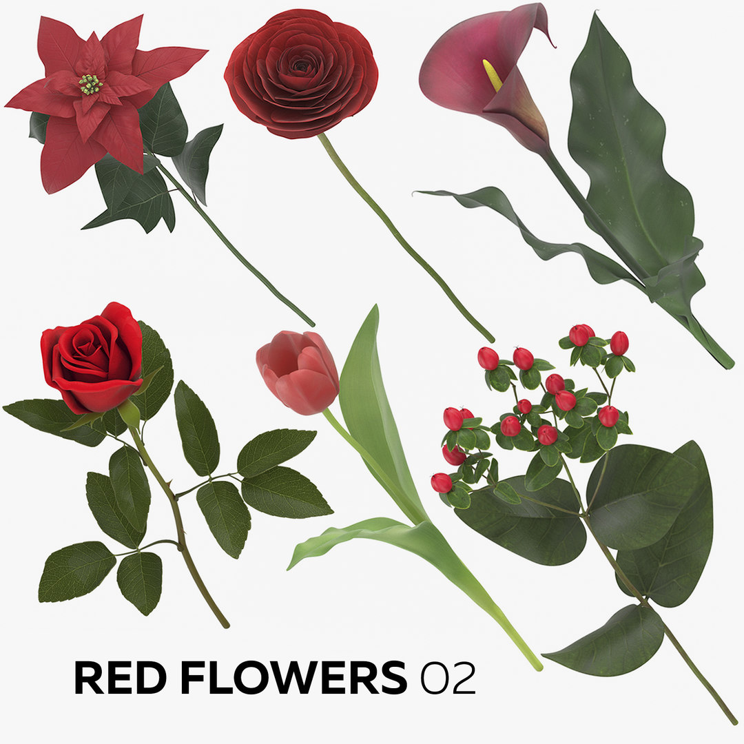 3D red flowers 02 model - TurboSquid 1449977