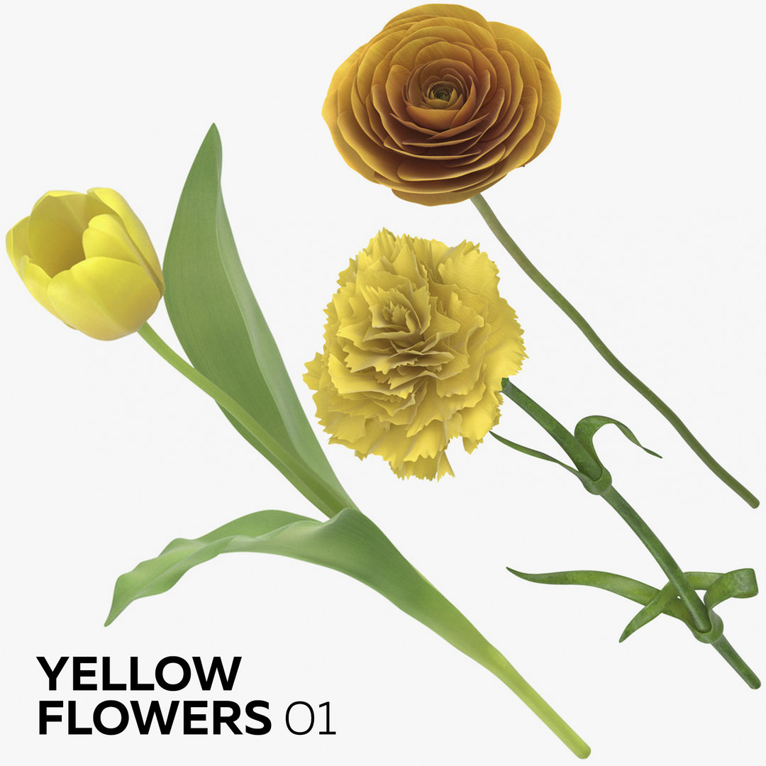 3D yellow flowers 01 - TurboSquid 1450300