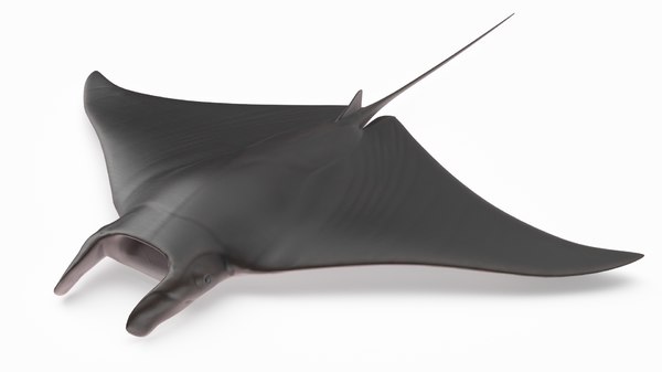 3D lesser devil model - TurboSquid 1450775