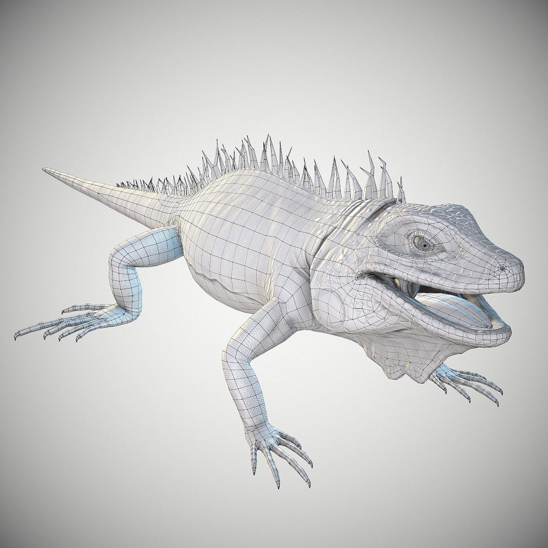 3D american iguana - TurboSquid 1450943