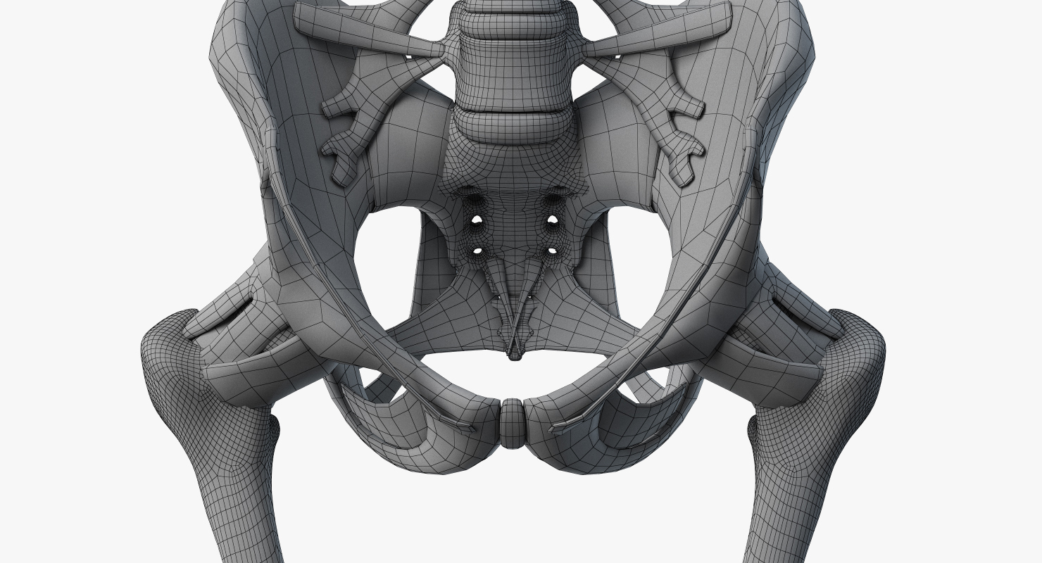 Anatomia feminina mais velha Modelo 3D - TurboSquid 1451686