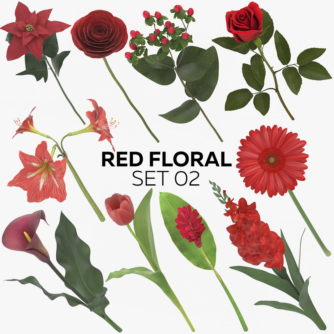 3D model red floral set 02 - TurboSquid 1449928