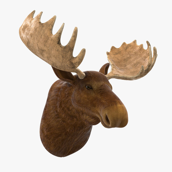 3D moose head trophy model - TurboSquid 1452164