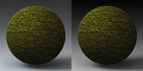 Materials Landscape Grass Materials Shaders