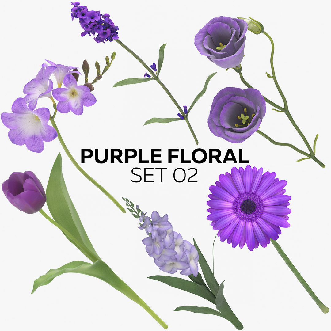 3D model purple floral set 02 - TurboSquid 1452561