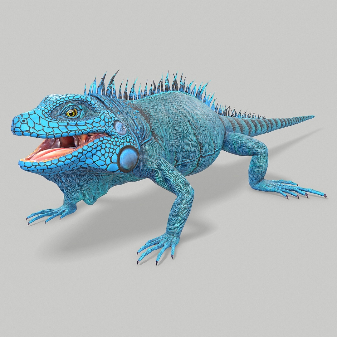 Iguana blue 3D model - TurboSquid 1452590